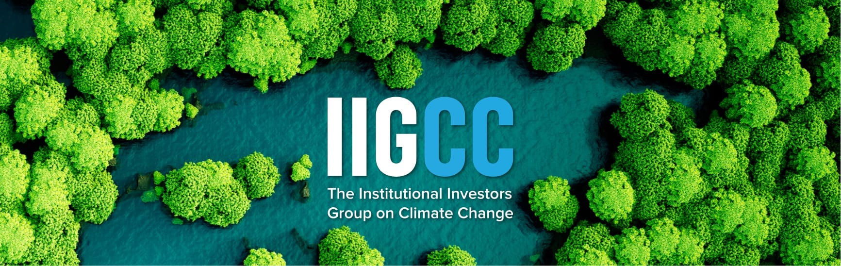 Sustainable Investment Group IIGCC Releases Net Zero Alignment Guidance ...