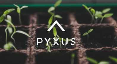 Pyxus International reconocida por esfuerzos para abordar el cambio ...