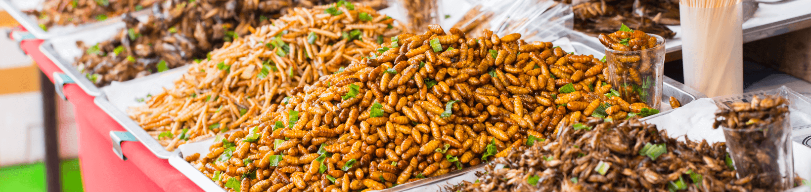 All Things Bugs Achieves World First with US Patent for the use of ...