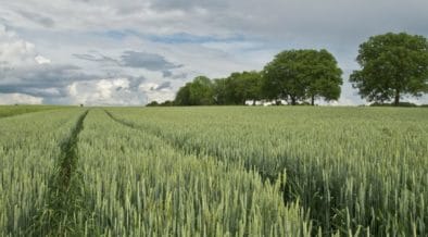 Indigo Ag Unlocks Farmer Access to Multi-Billion Dollar Voluntary ...