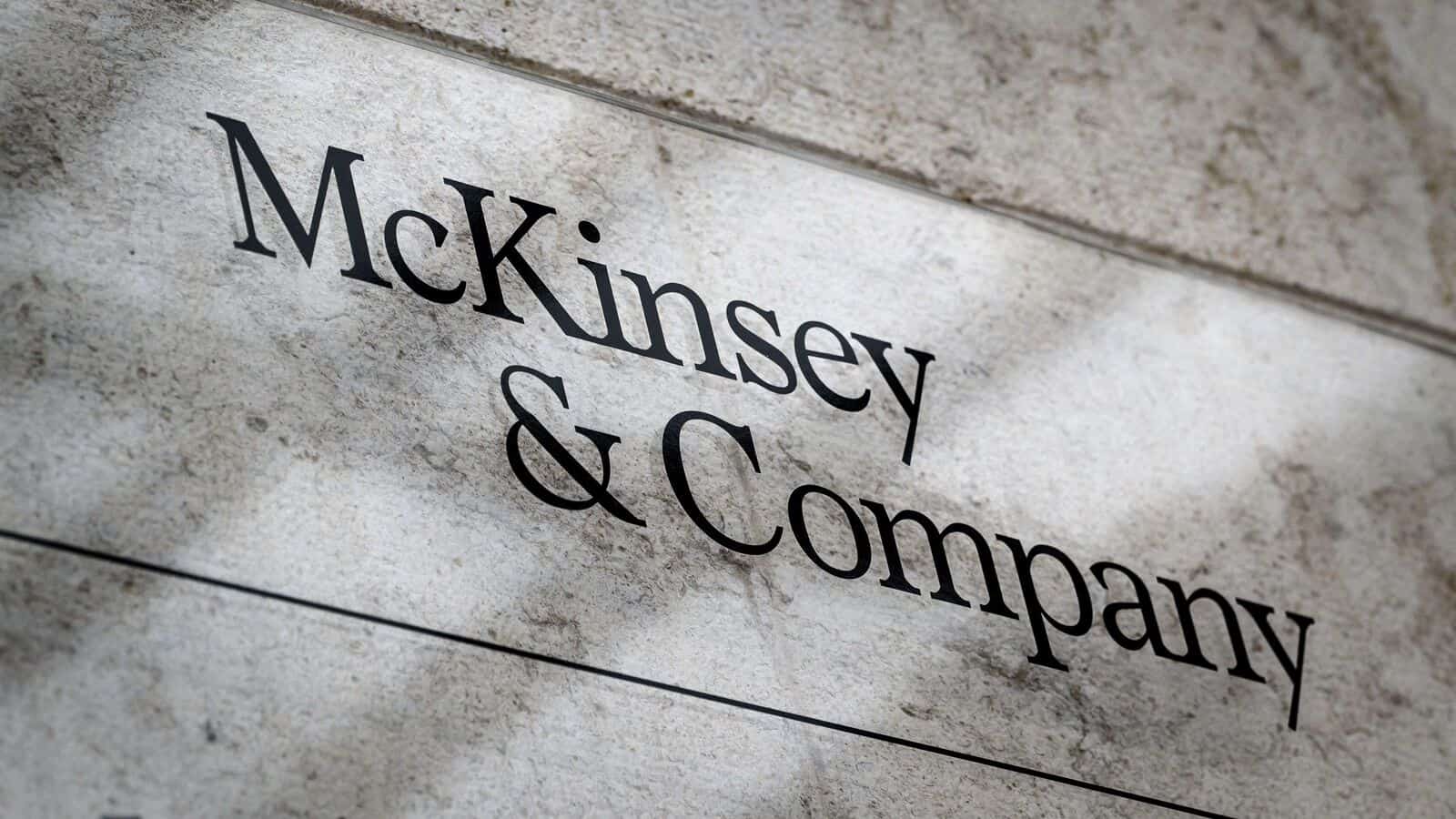 McKinsey Experts Bring Sustainability and Inclusion to the Skies - ESG News