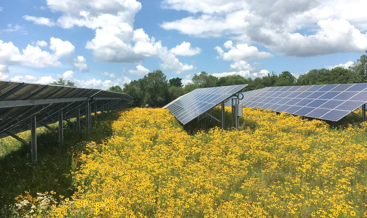 DOE Announces $8 Million to Integrate Solar Energy Production with ...