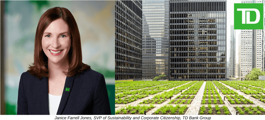 TD Bank Sets $500 Billion Sustainable & Decarbonization Finance Target ...