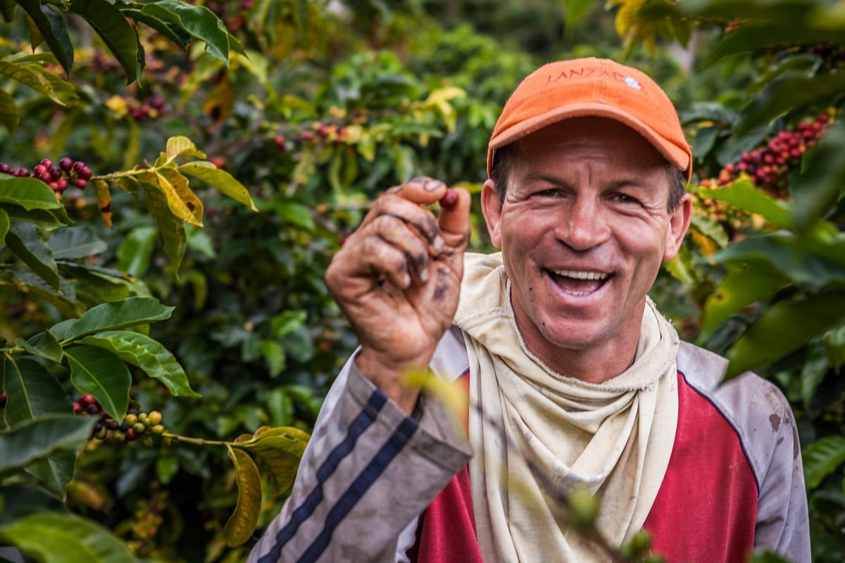 Nestlé Ranks First in Coffee Sustainability - ESG News
