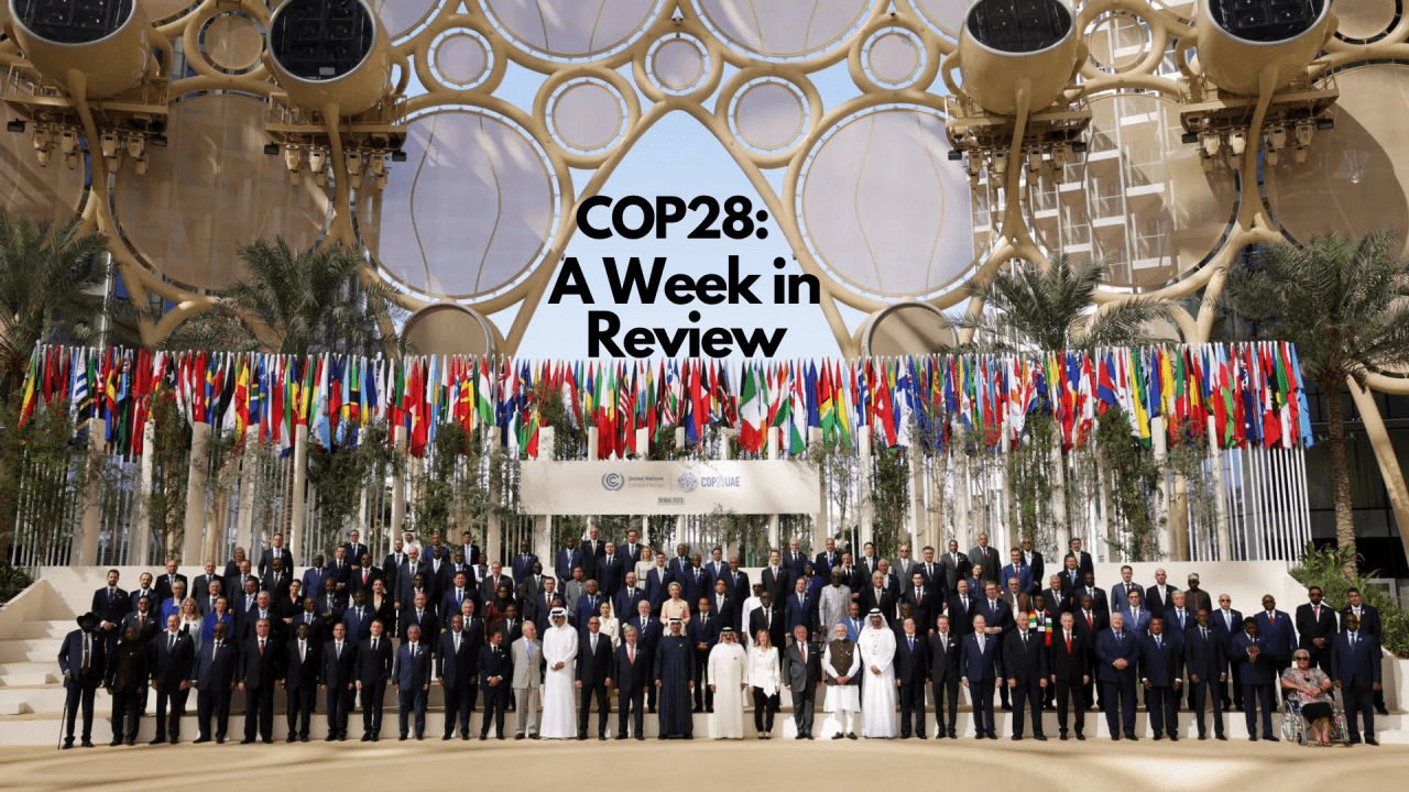 Tim Mohin: COP28 - A Week in Review - ESG News