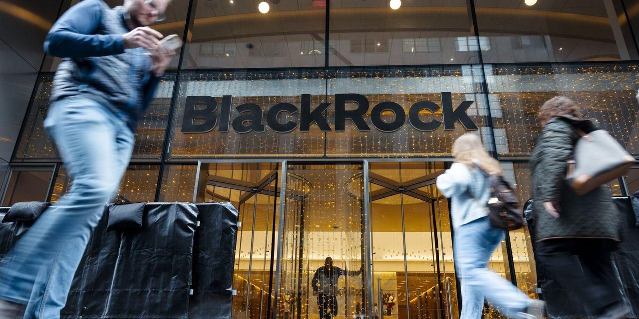 BlackRock Acquires World Leading Infrastructure Investment Platform ...