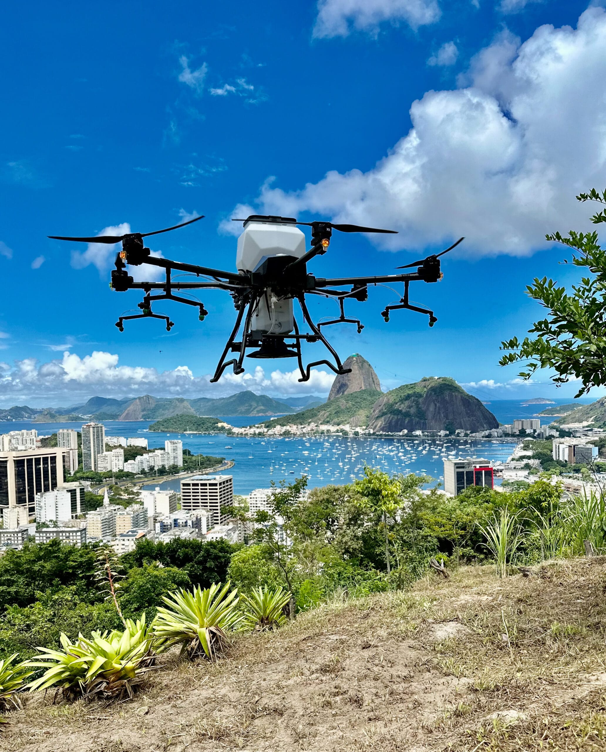 MORFO Presents its Innovative Forest Restoration Technology In Rio De ...