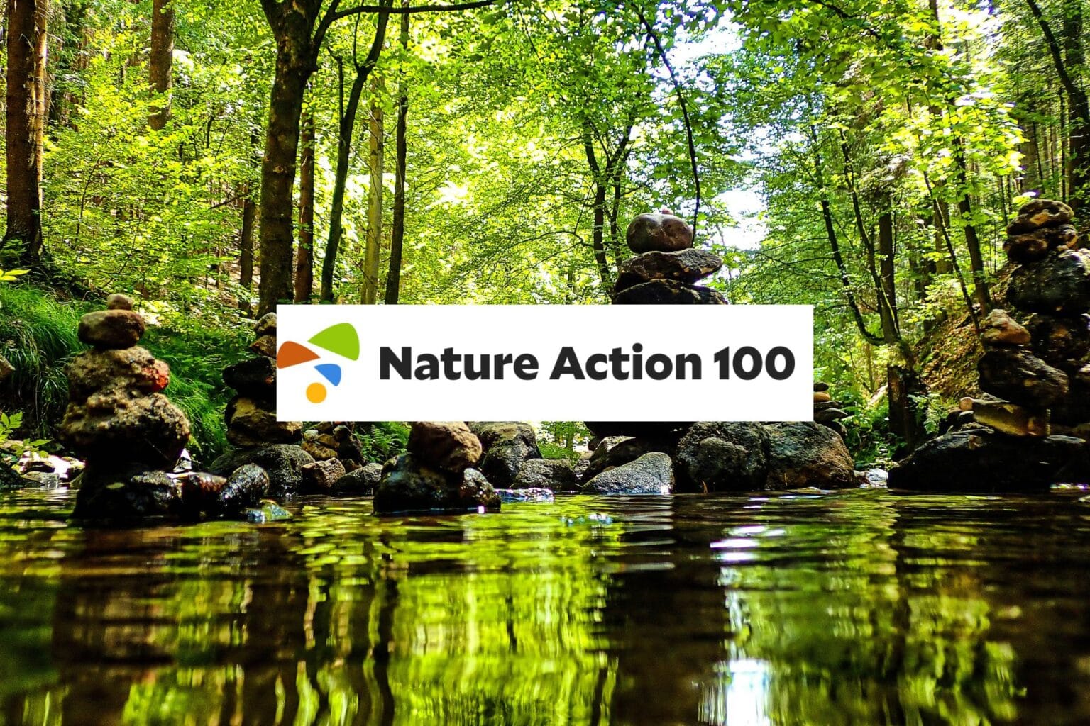 Nature Action 100 Unveils Guide to Help Investors Drive Corporate Action on Nature Loss - ESG News