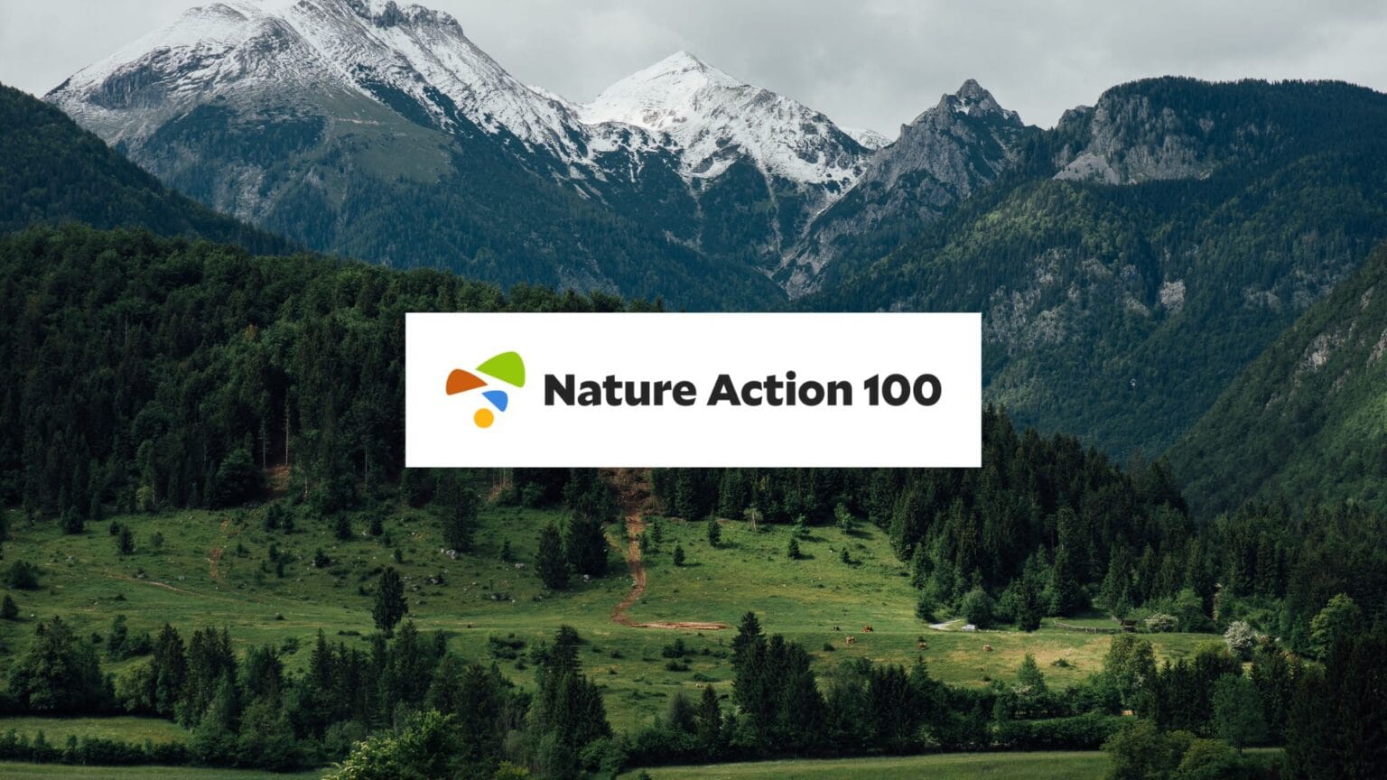 Nature Action 100 Unveils Investor Benchmark For Corporate Nature Risk ...