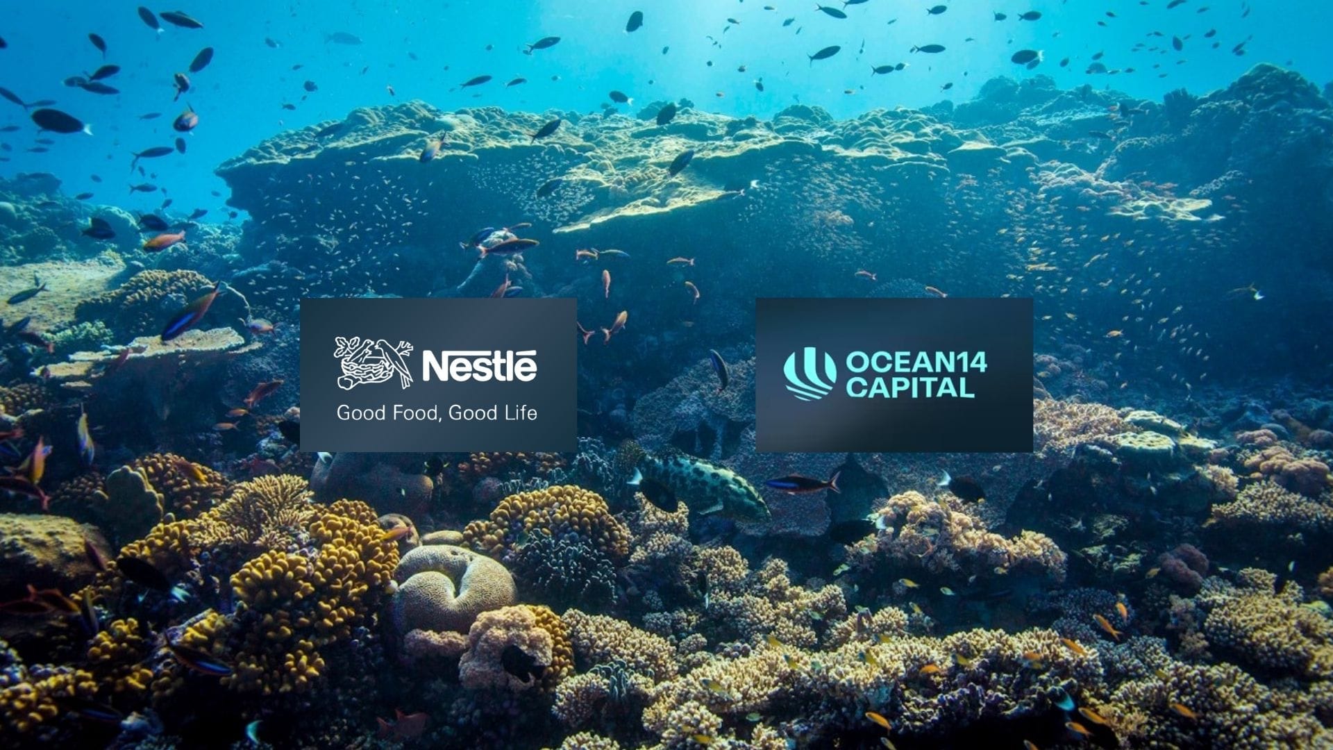 Nestle Backed Ocean 14 Capital Fund Raises €201 Million to Boost ...