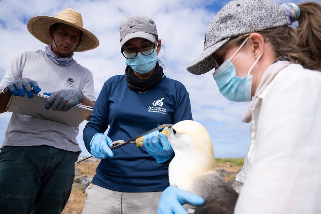 Charles Darwin Foundation and Oceans Finance Company Partner for Long ...