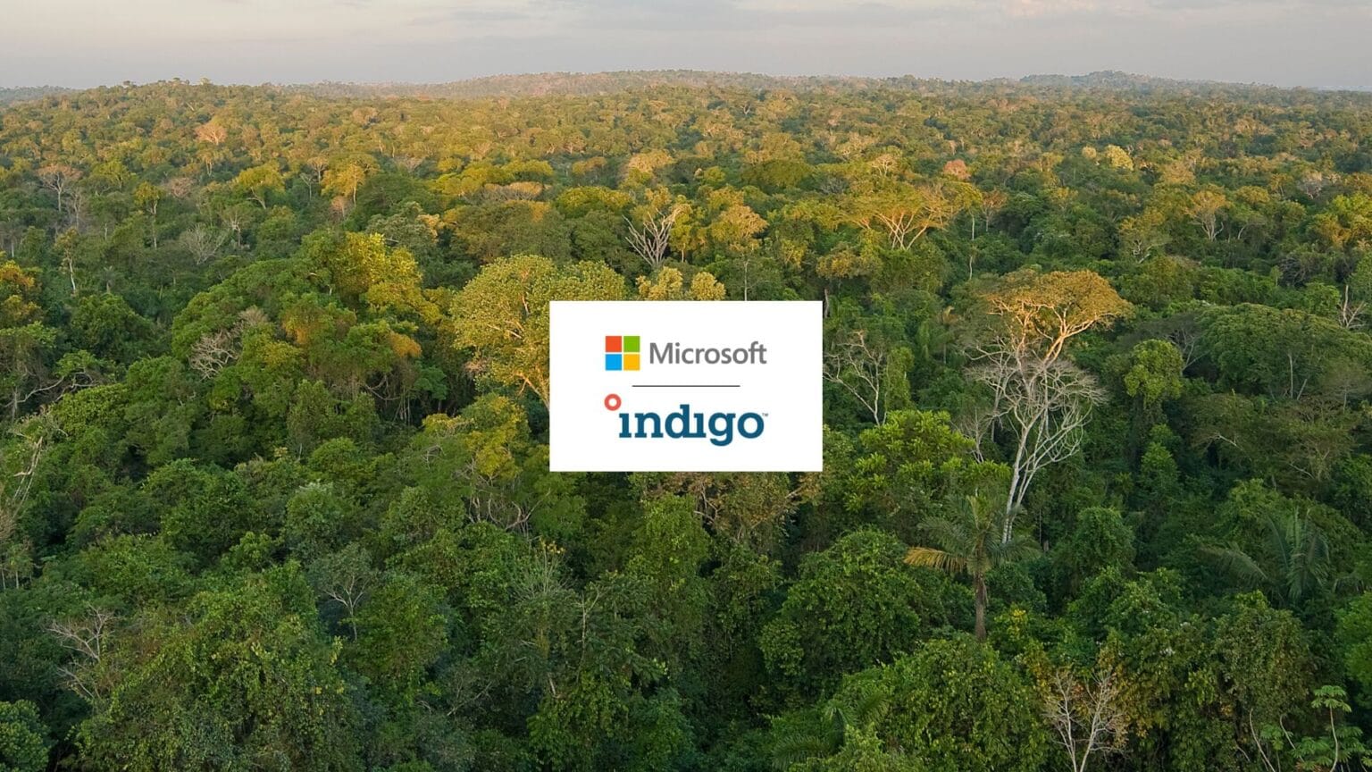 Indigo Ag Delivers Record 40,000 Carbon Credits to Microsoft Under Soil ...