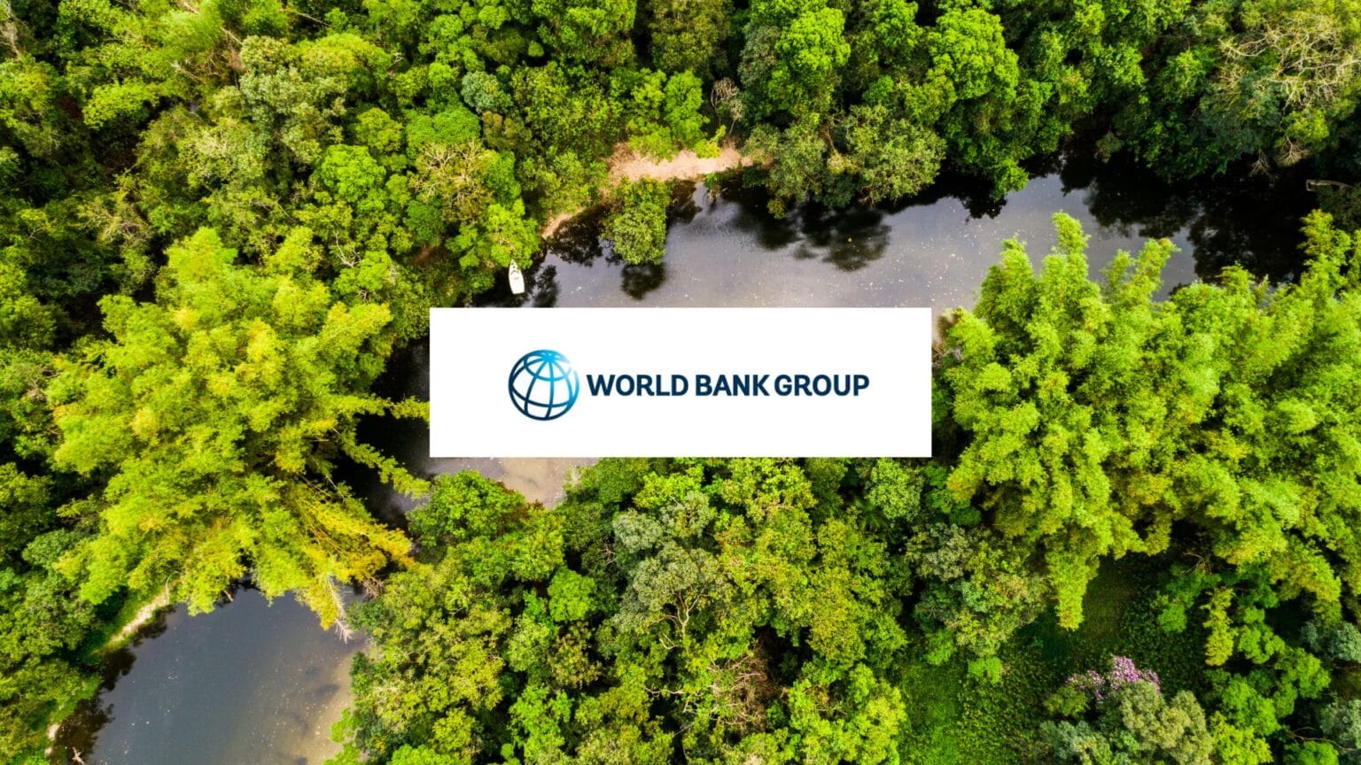 World Bank Launches $200M Amazon Reforestation Outcome Bond to Mobilize ...