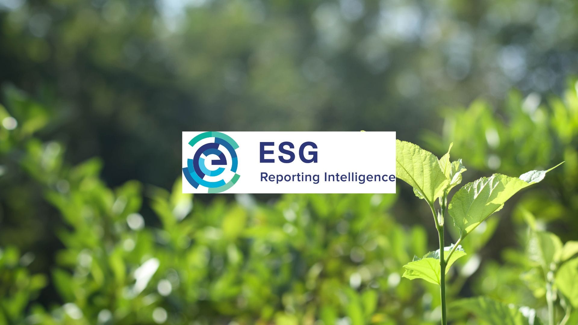 ESGRI Launches Free Tool to Benchmark Business ESG Performance - ESG News