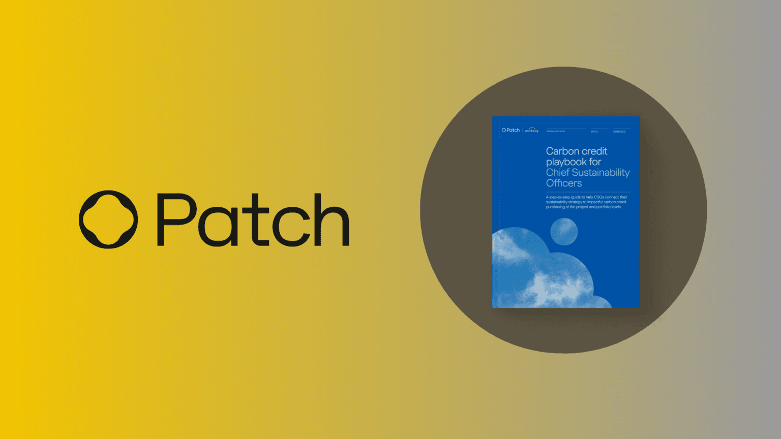 Patch Releases a Carbon Credit Playbook for Chief Sustainability ...