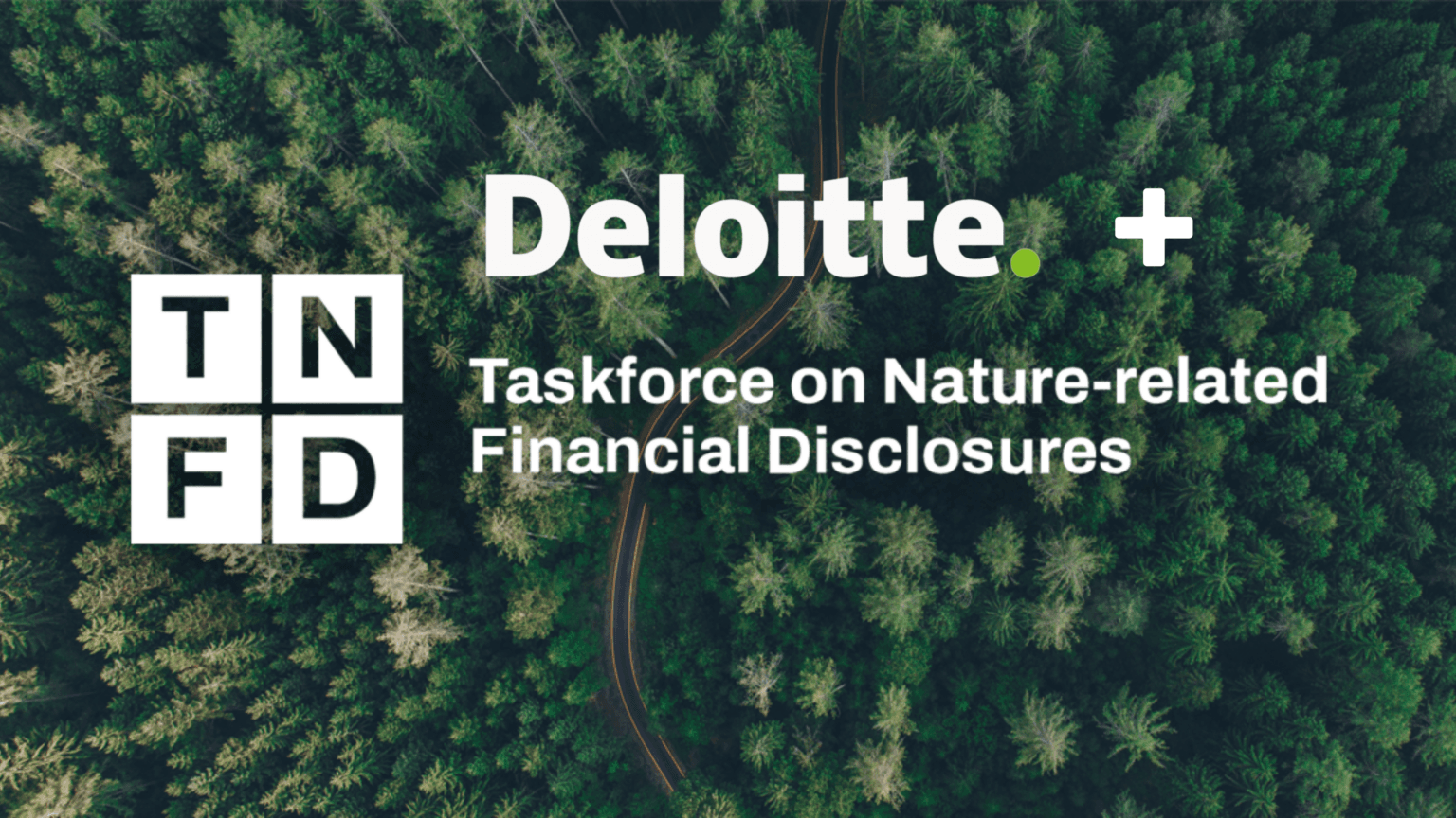 Deloitte Launches LEAP Dashboard to Boost Nature-Related Risk and ...