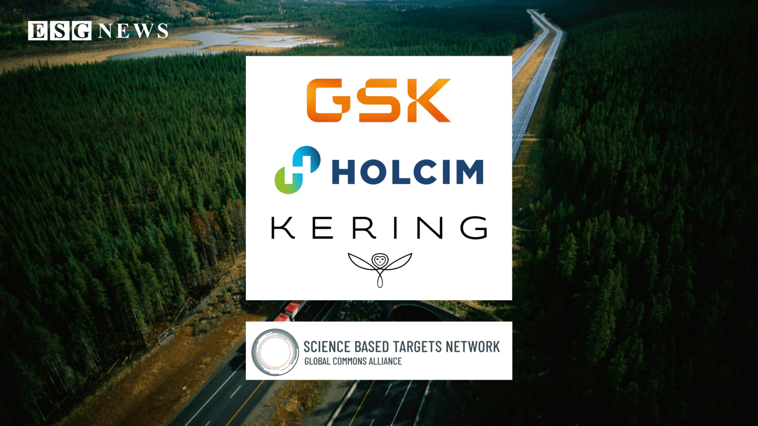 Kering, GSK, Holcim First Companies to Adopt Science-Based Targets for Nature at COP16 - ESG News