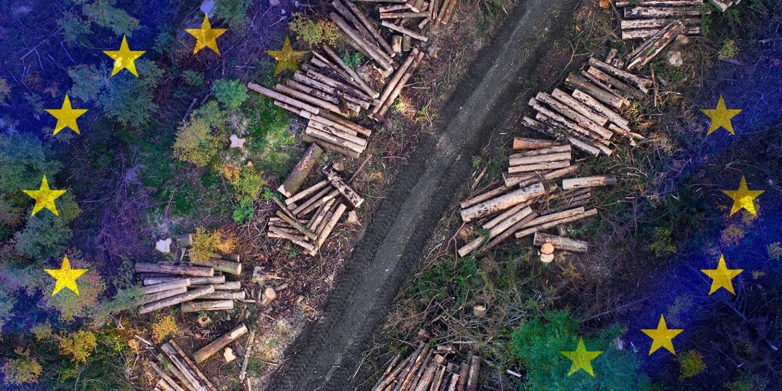 EU Parliament Agree to Postpone, Soften Deforestation Ban on Imports ...