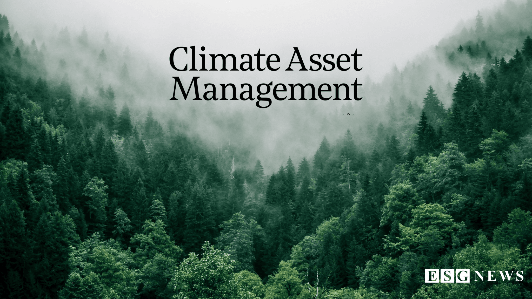 Climate Asset Management Acquires 68,000 Acres in First U.S. Forestry ...