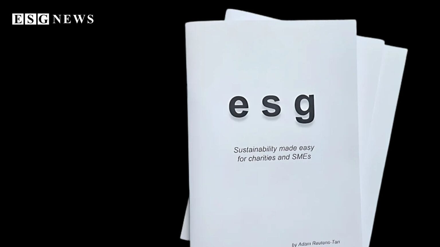 New ESG Guide Offers 137 Practical Steps for Charities and SMEs to ...