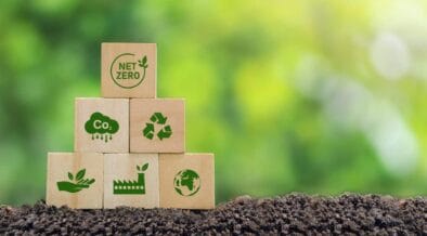 What Is Carbon Insetting? What You Need to Know about the Strategy ...