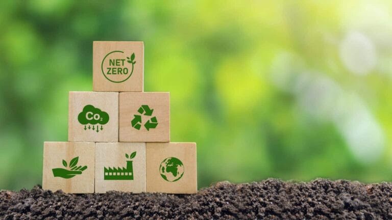 What Is Carbon Insetting? What You Need to Know about the Strategy ...