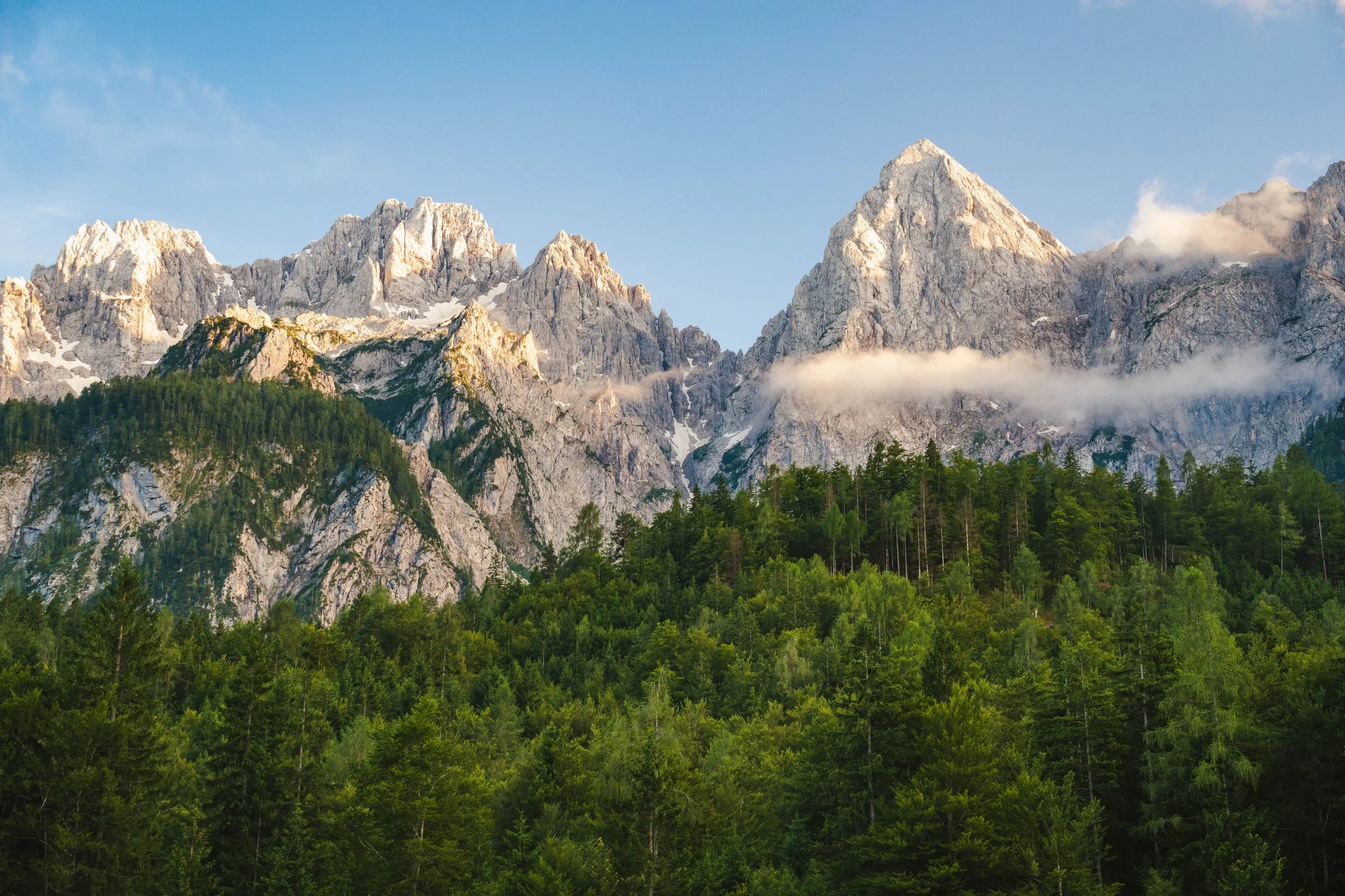 SBTi Reports 227% Rise in Firms Setting Near- and Long-Term Climate ...