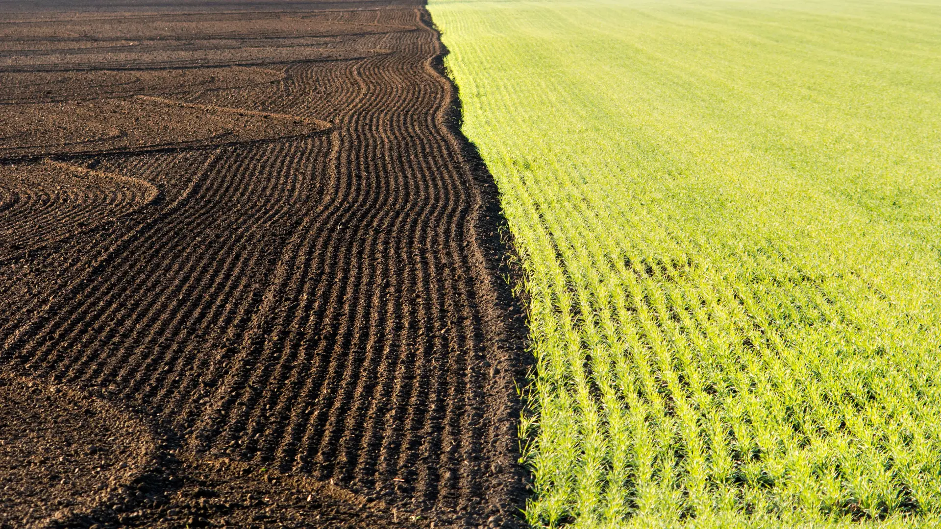 InSoil, Anew Climate to Deliver 500,000 Verified Soil Carbon Removal ...