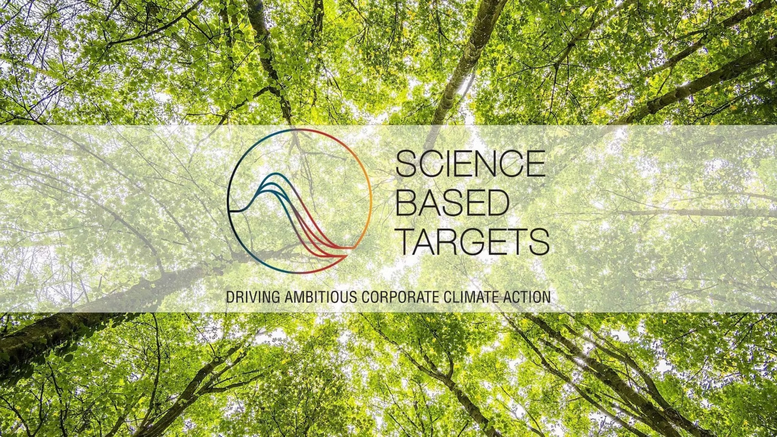 SBTi Issues Detailed Decarbonization Pathways for Global Chemicals Industry - ESG News